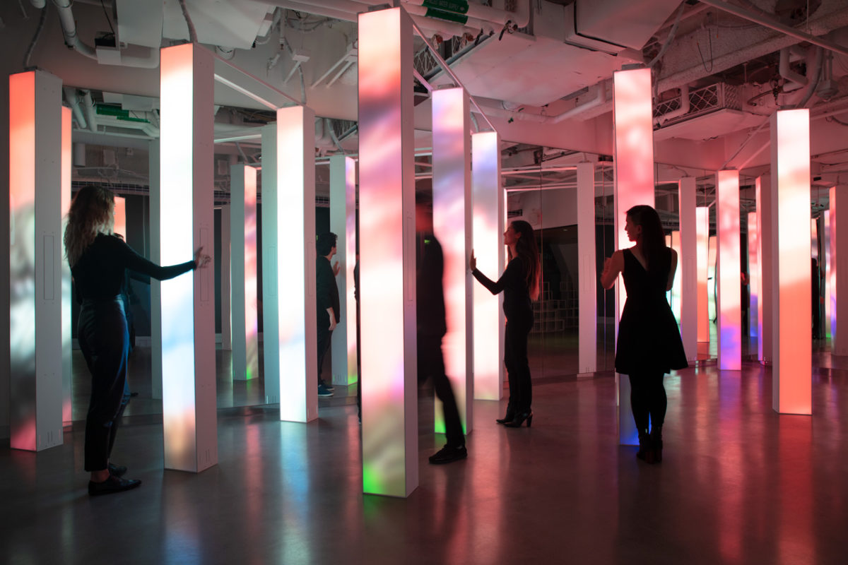 HUSH Studios | Light Forest | TISH