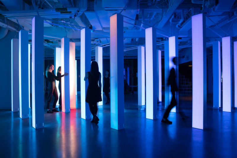 HUSH Studios | Light Forest | TISH